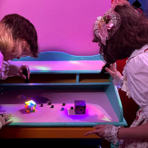 Whole Brain Escape Rooms Apex, Cary, Raleigh - Unlock a Good Time!