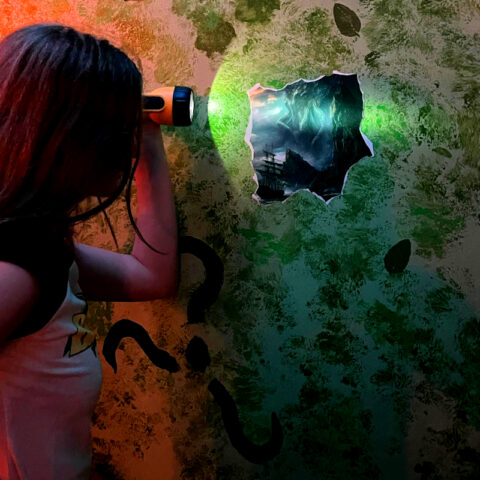 Whole Brain Escape Rooms Apex, Cary, Raleigh - Unlock a Good Time!